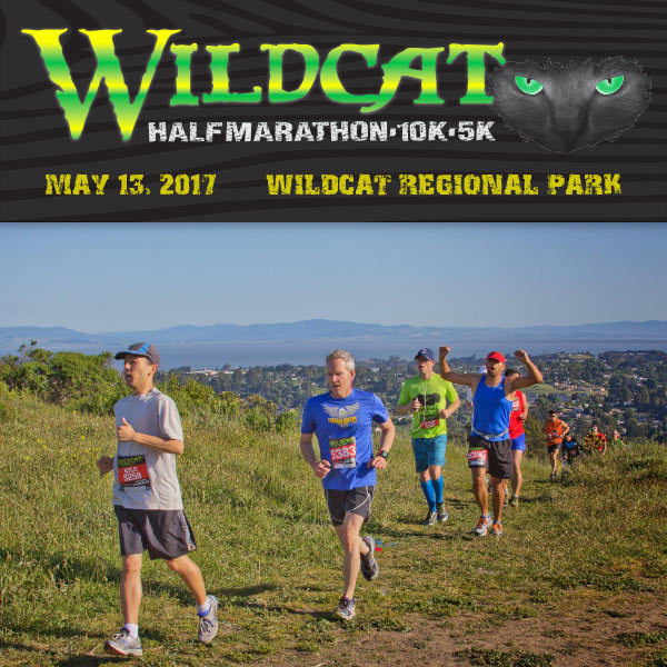 Mail-In Entry: Wildcat - Brazen Racing - Brazen Racing